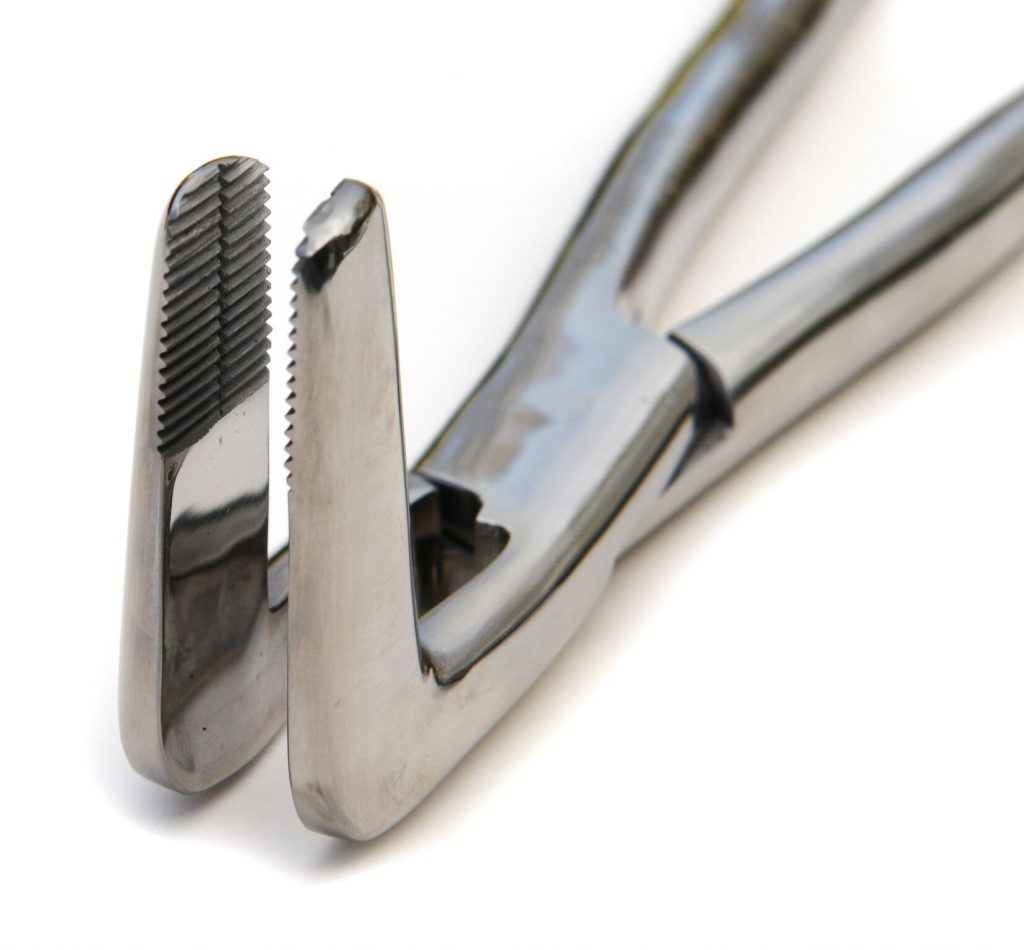 Medium Duty Forceps Archives - Equine Blades Direct