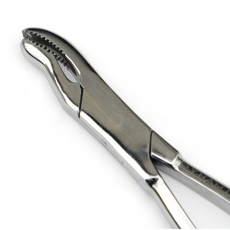 Incisor Duck Bill - MEDIUM FORCEPS 28cm - Equine Blades Direct